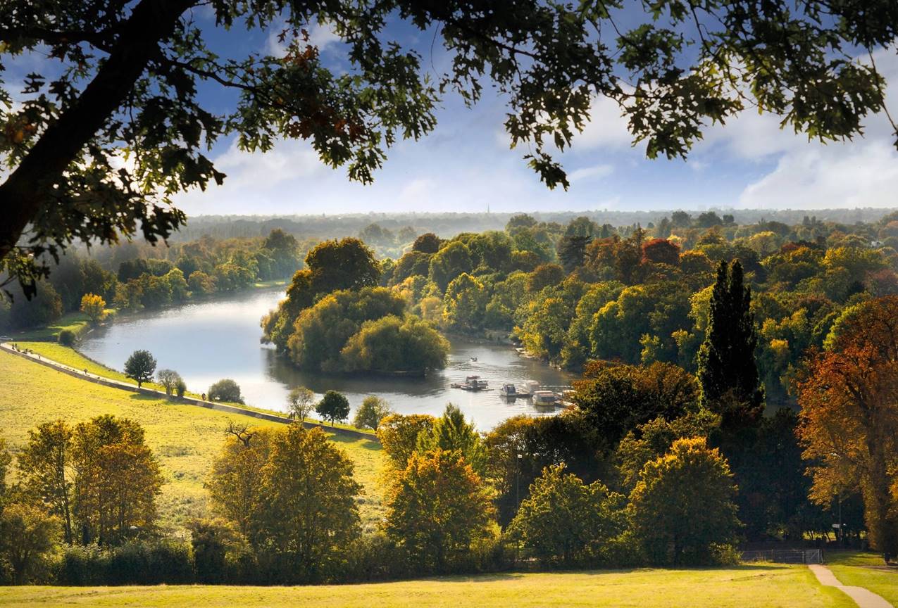 Richmond Park faces new event rules as council embraces community ...