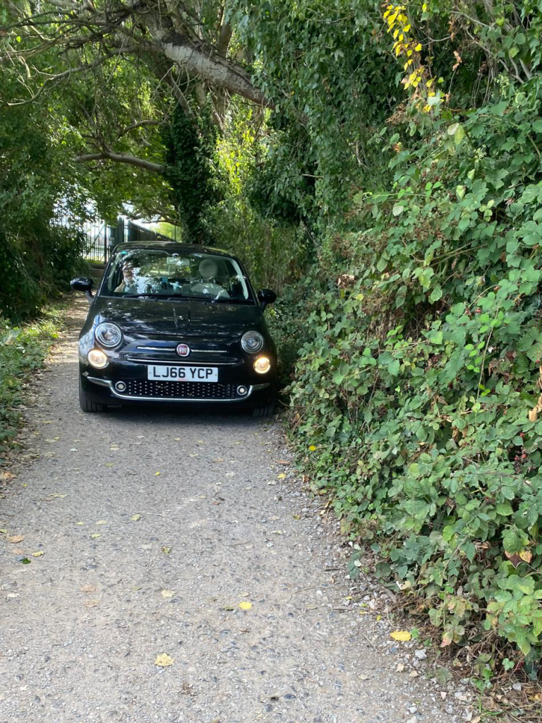 How mad did Putney traffic get? Someone drove down the Thames path ...