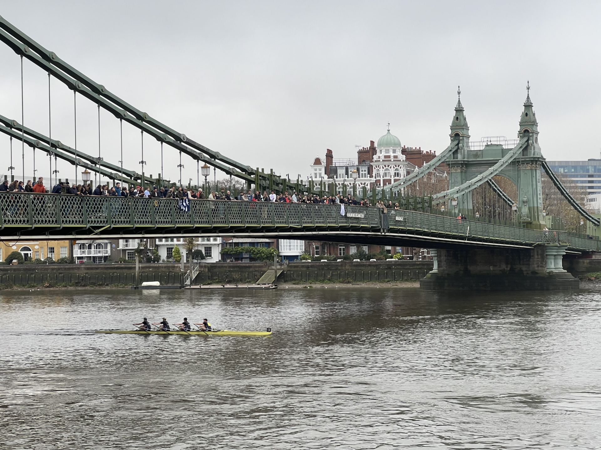 Swans and scullers reclaim the Thames as beloved rowing tradition ...